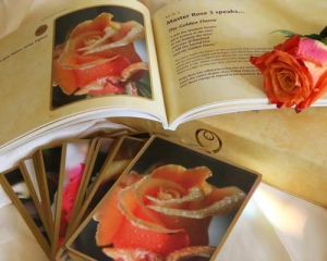 Rose Alchemy – Rose Oracle for the Heart
