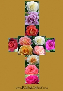Rose Class 1 – The Rose Healing Grid – Rose Alchemy