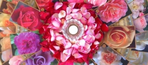 Rose Alchemy – Rose Oracle for the Heart