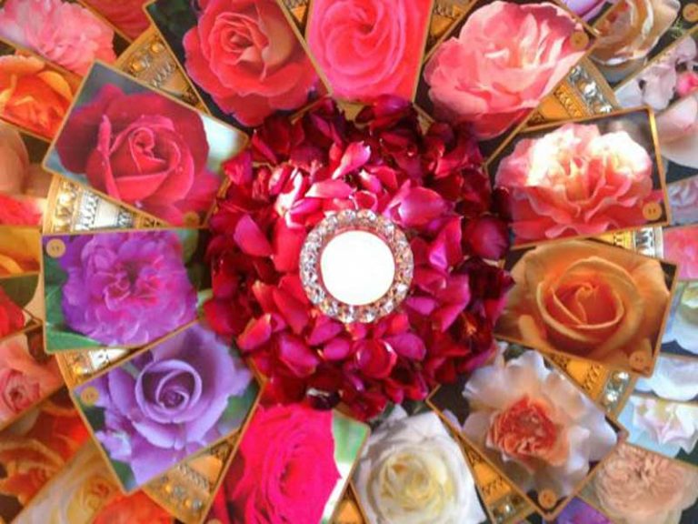 Rose Alchemy – Guernsey – Rose Alchemy