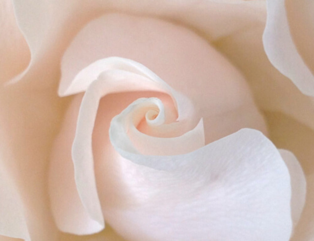 Rose Class 1 – The Rose Healing Grid – Rose Alchemy